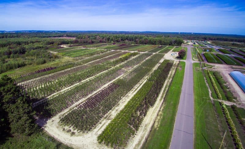 BIG VIEWS Of Northern Family Farms